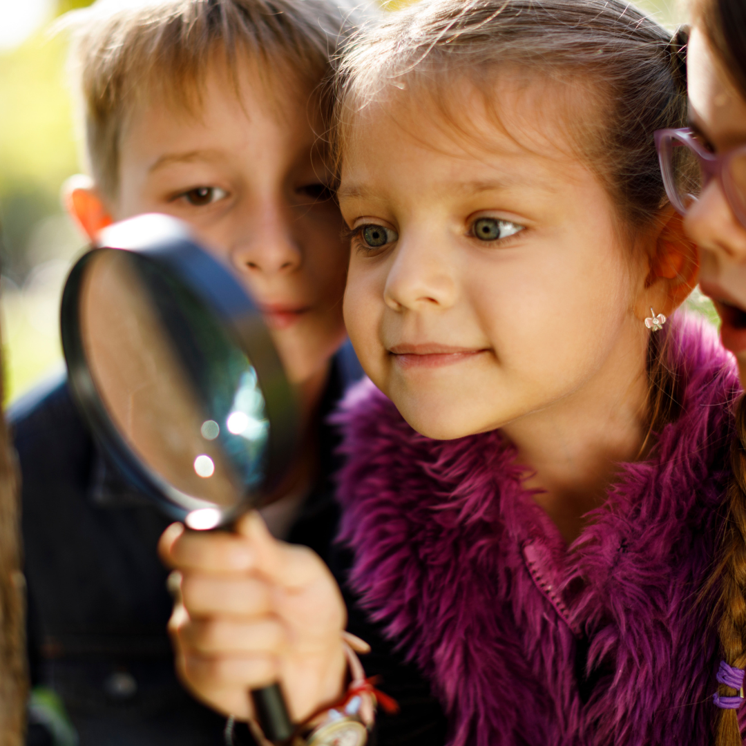 Choose Your Garden Adventure | Scientists in School