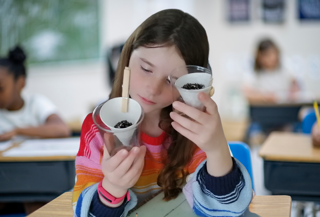Wetland Wonders! | Scientists in School